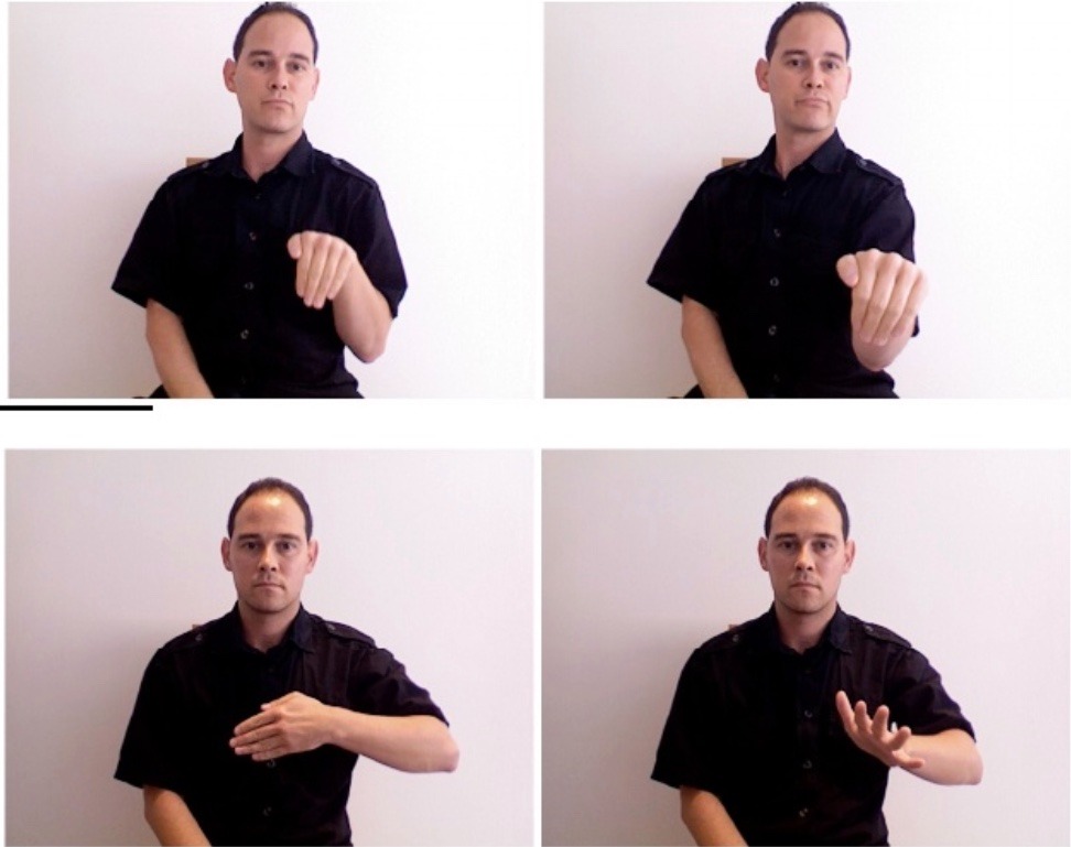 Language is Power: the Significance of the Gay Sign Variant – Surround ...